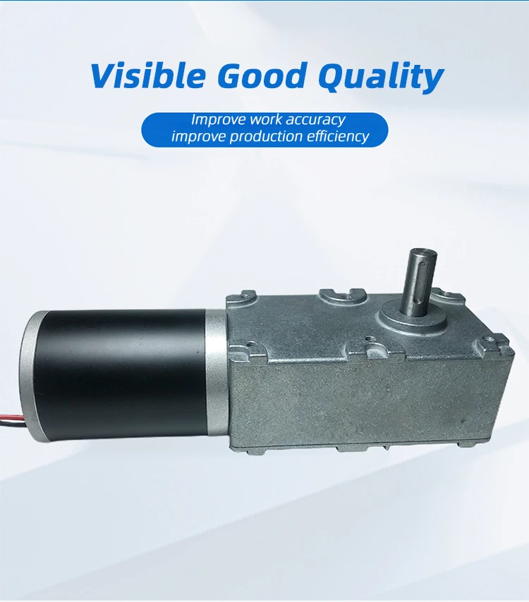 Permanent Magnet Low Rpm 12v 24v Dc Worm Gear Motor Horizontal Motor ...