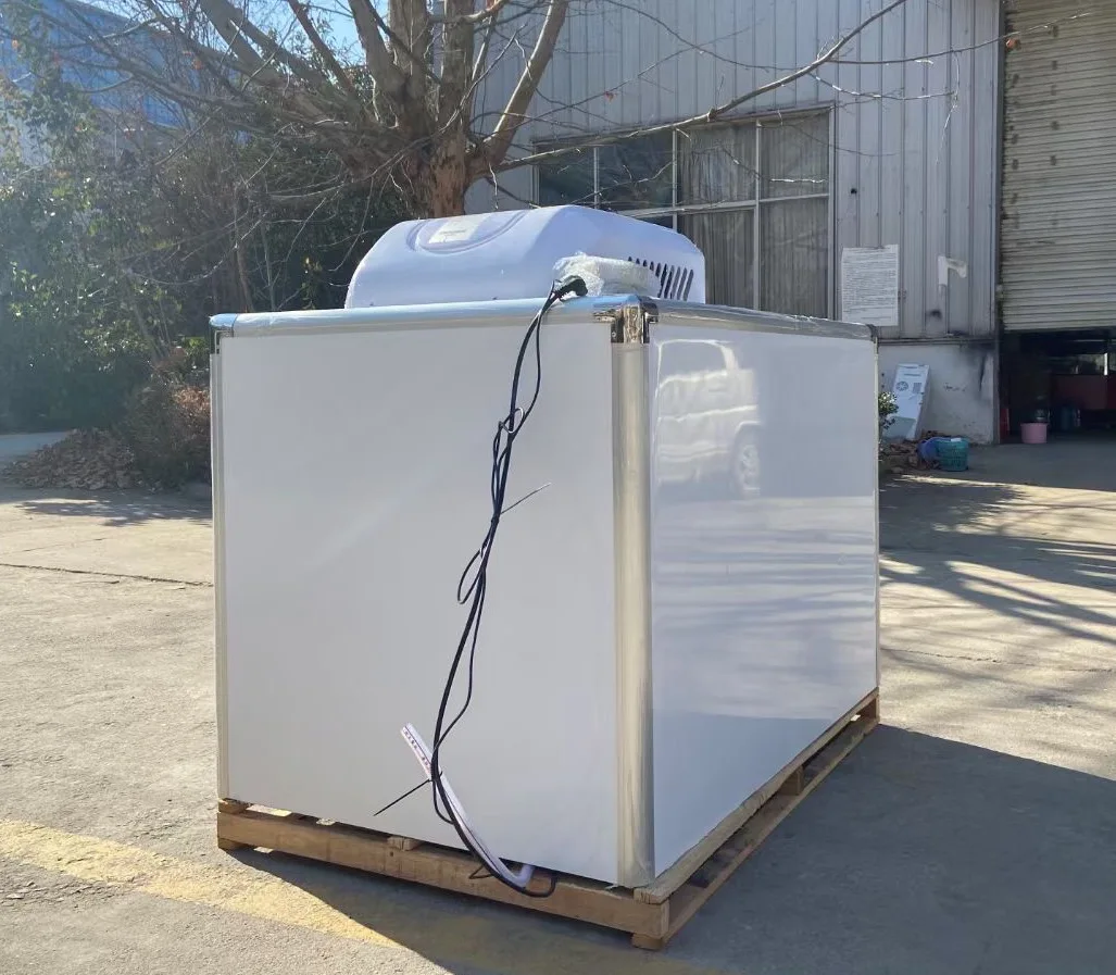 Portable Mobile Electric Vehicle Refrigerators for Cold Storage ...