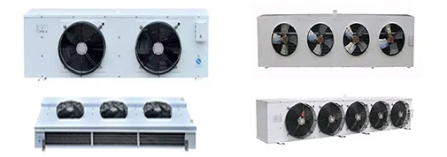 High Efficiency Cold Room - Customized Freezing Solutions