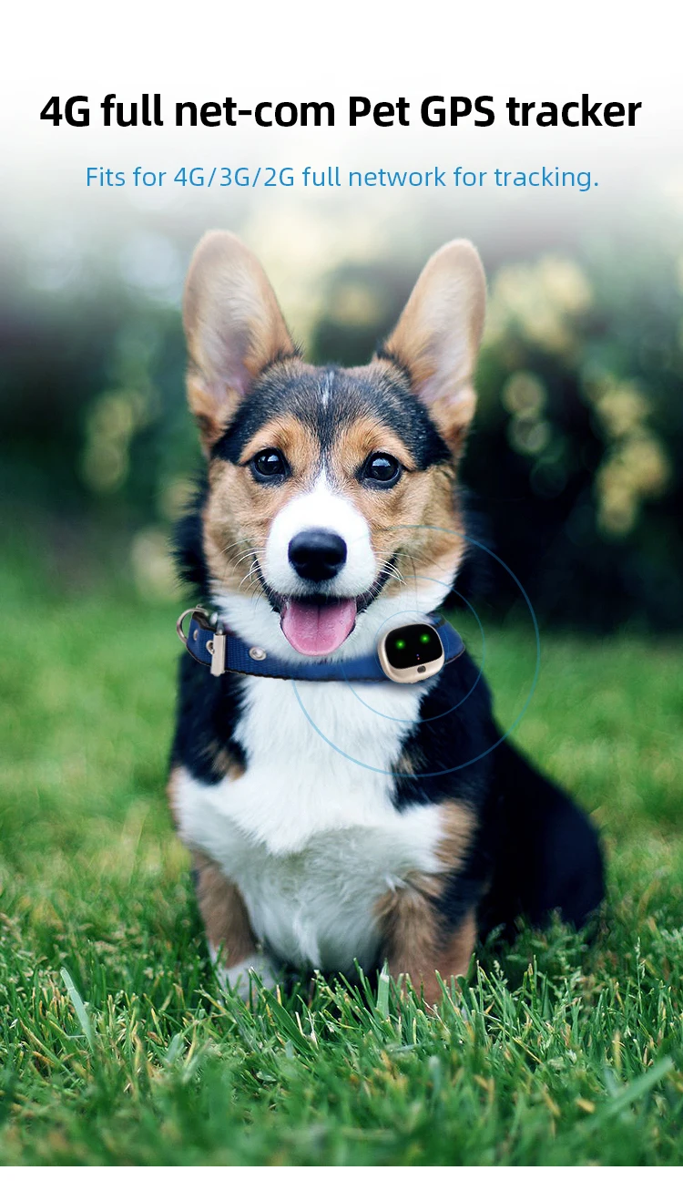 Real-time Pet Alerts Heart Rate Monitoring for Pets GPS and Location ...