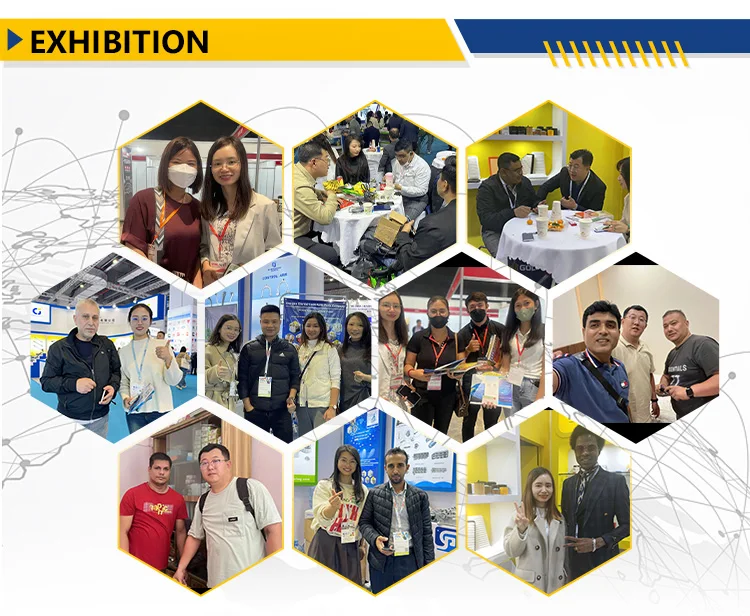 Germany Car Engine Iron Camshaft for VW Fox 2004-2014