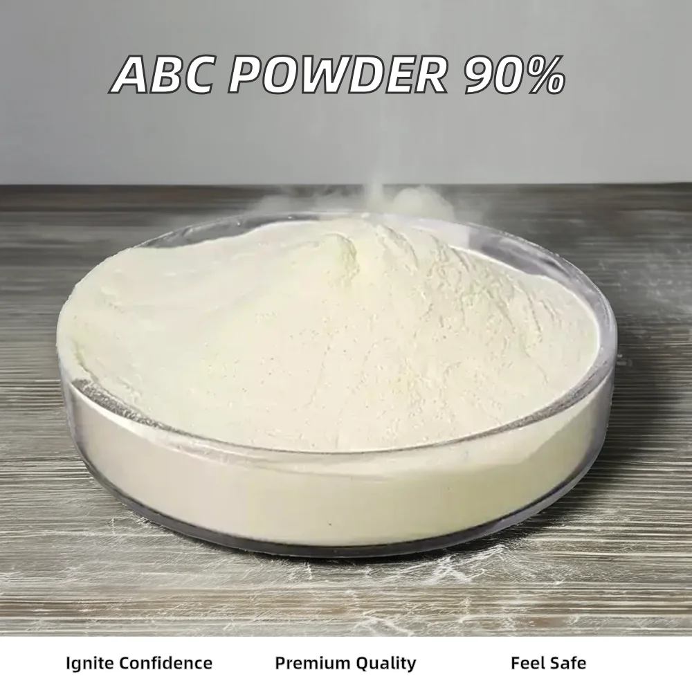 Winner Fire Fighter Dry Chemical Powder Fire Extingu Abc Dry Chemical ...