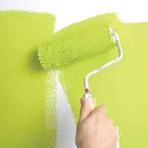 Sanavel Potassium Silicate-Based Non-Toxic Breathable Acrylic Paint for ...