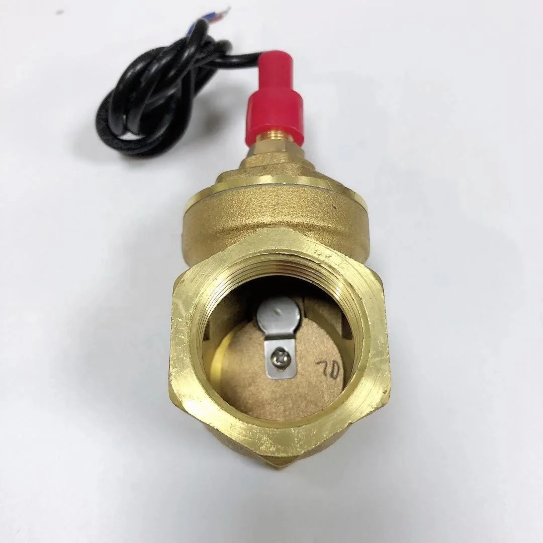 Water Flow Switch 220V - Reliable Flow Control Solutions