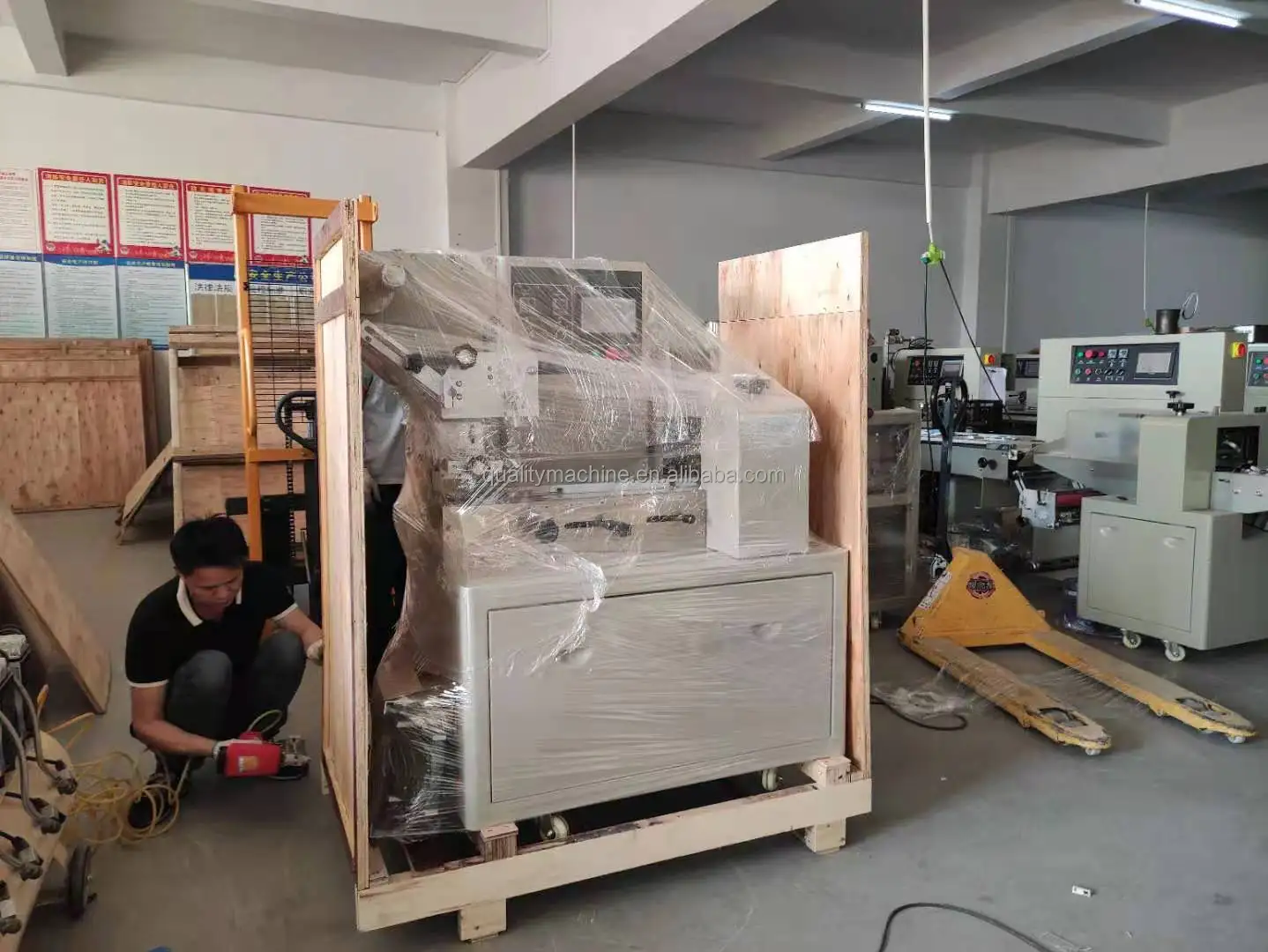 Flow Pack Machine Horizontal - Automatic Packaging Solutions