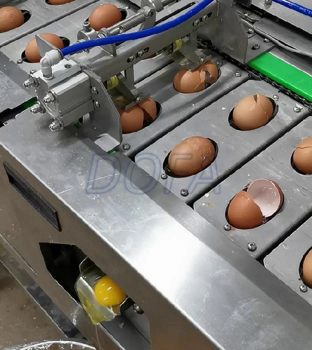 Egg Cracking Breaking Cracker Machine Egg Breaking Yolk Separating ...