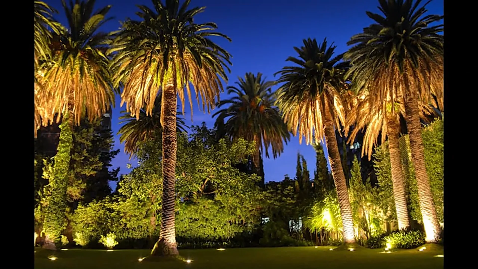 30w Dmx512 Adjustable Led Palm Tree Ring Light Fixture 3 In 1 Aluminum ...