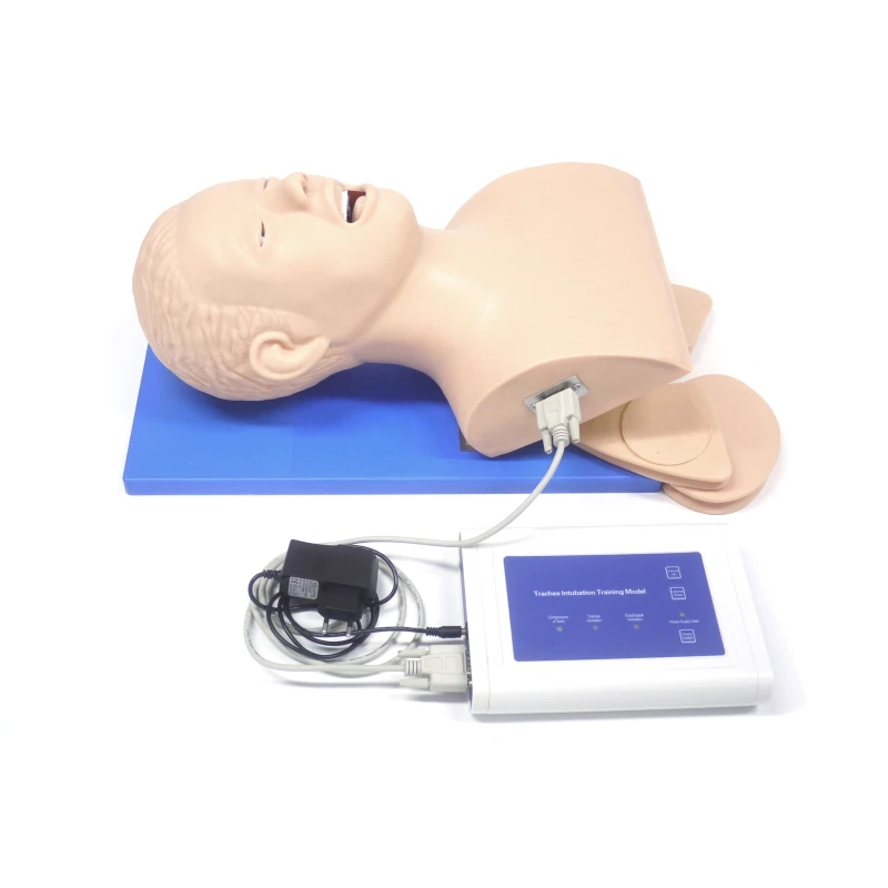Adult Endotracheal Intubation Training Mannequin,Airway Intubation ...