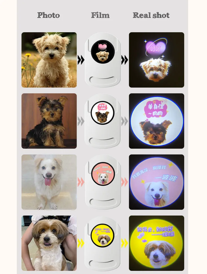 Pet Social LED Dog Light Projector for Night Walking – Safe & Stylish ...