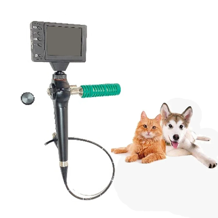 19'' Display Handheld Full HD Imaging Veterinary Endoscope Camera for ...