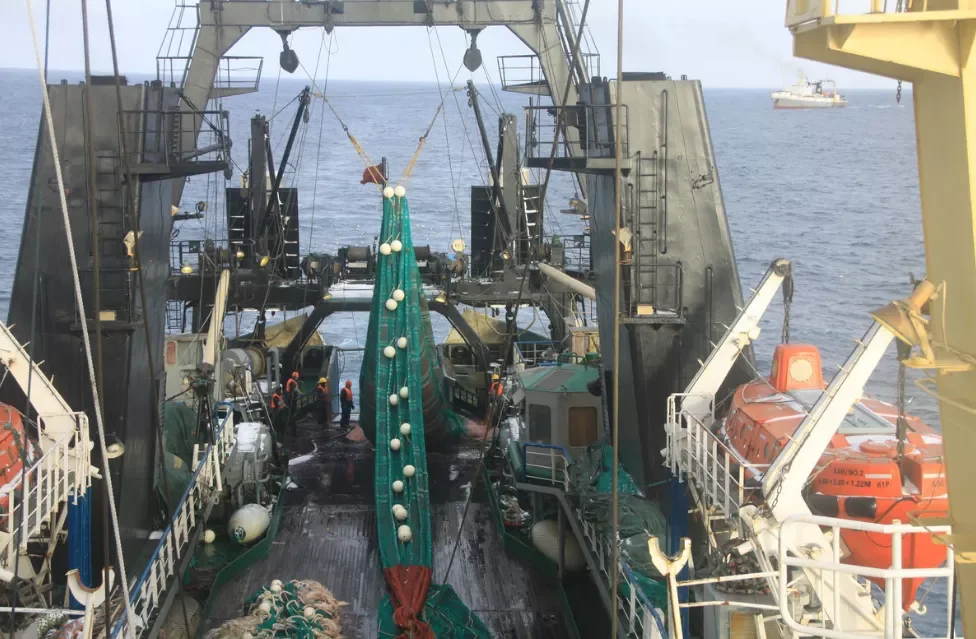 Customizable HDPE Fishing Net for Sardine Herring Purse Seine