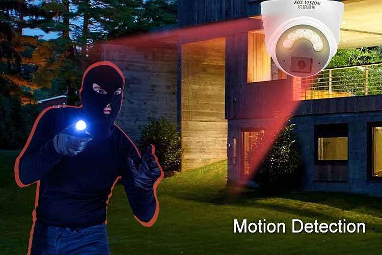 C2440ts-10b Network Camera - Buy Security Camera,Network Camera,Seetong ...