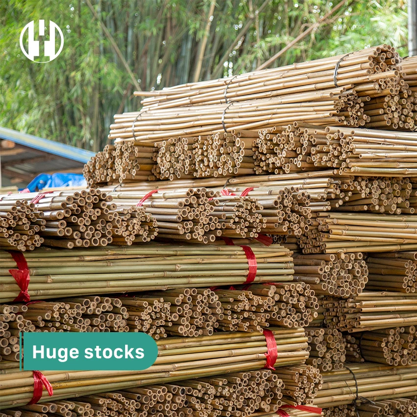 Hyh High Quality Raw Bamboo Material Bamboo Pole For Garden Decoration ...