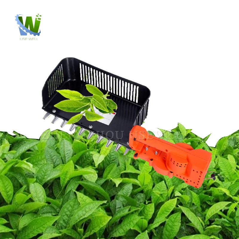 Efficient Tea Leaf Harvester - Customized Professional Picker