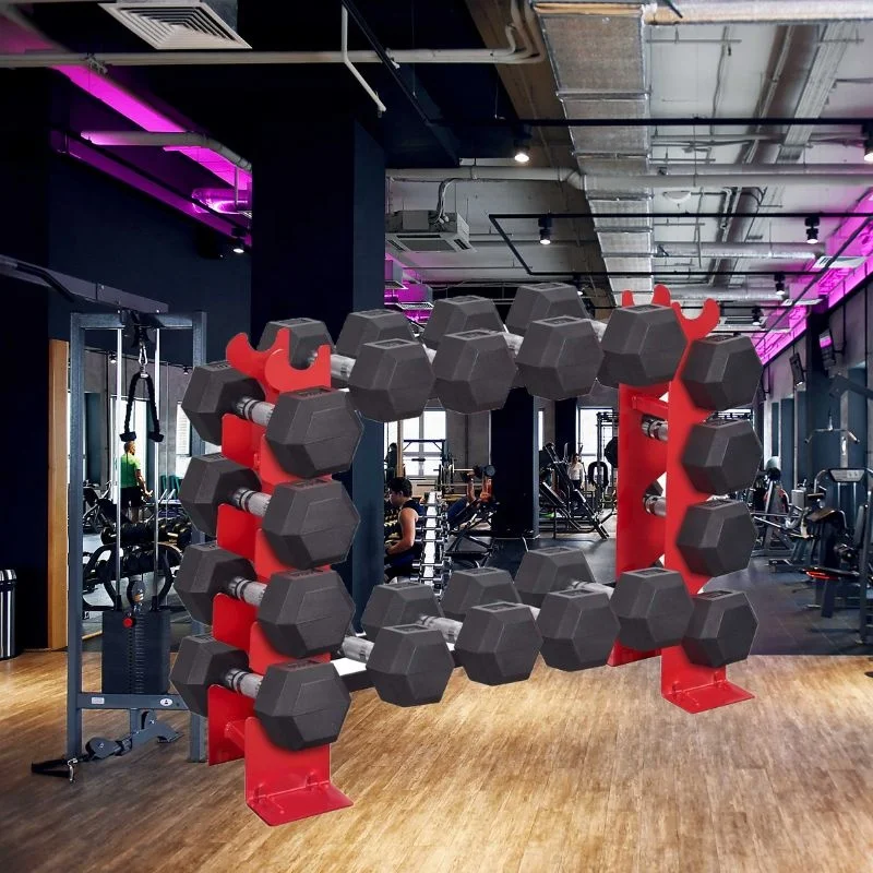 Free Weight Stand with Dumbbell Rack for Home Gym Enhanced Capacity for ...