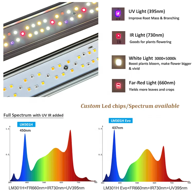 Original Lm301h Evo Grow Led Lights 1000w Balanced Ppfd Uv Ir Separate Control Lm281b 800w 240w ...