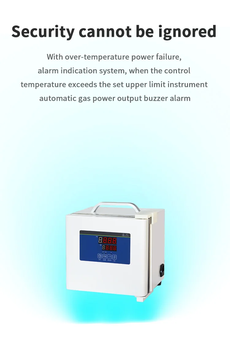 Laboratory Microbial Incubator Small Thermostatic Bacterial Incubator ...