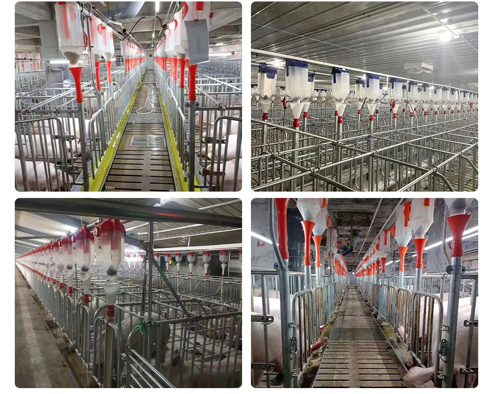 Long Lasting Pig Farming Equipment Cages for Pigs in Gestation ...