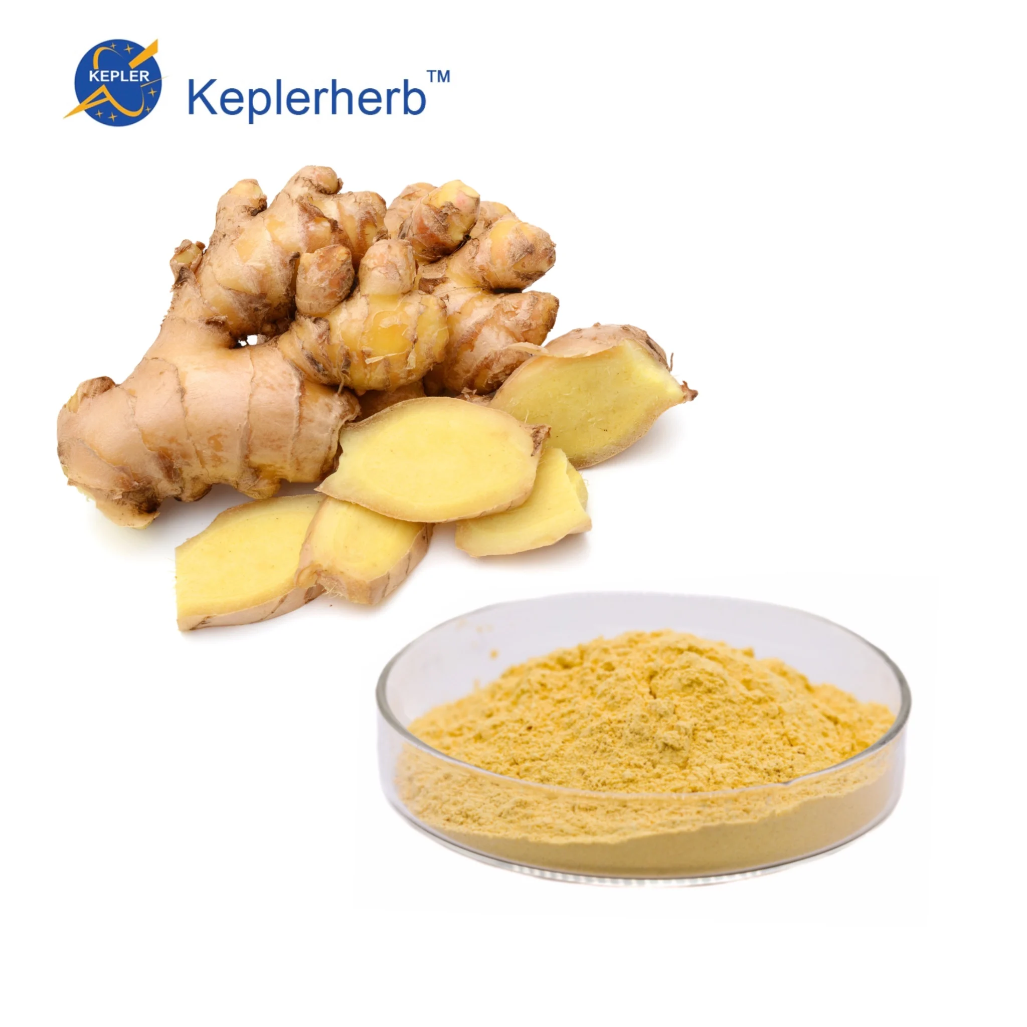 Water Soluble Ginger Extract 1%gingerol Ginger Extract Powder - Buy ...