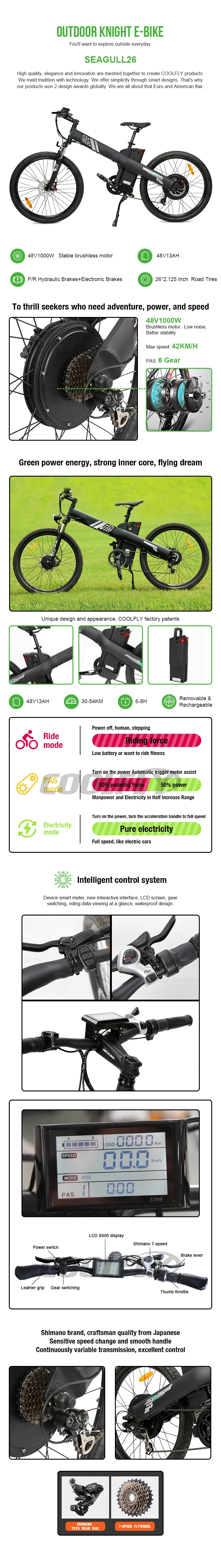 2024 Seagull Hybrid Electric Bike With 42km/h Speed