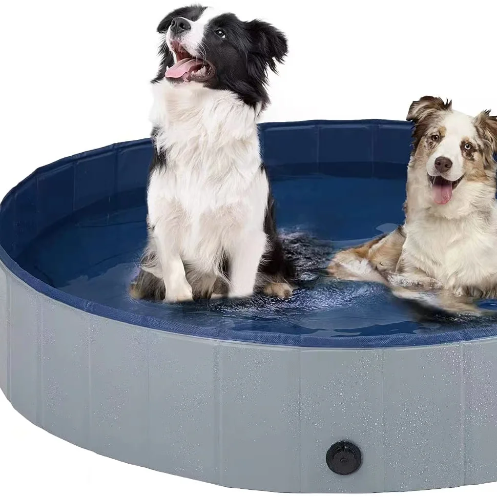 Trending Hot selling items Product Show Stream 2023 - Alibaba.com