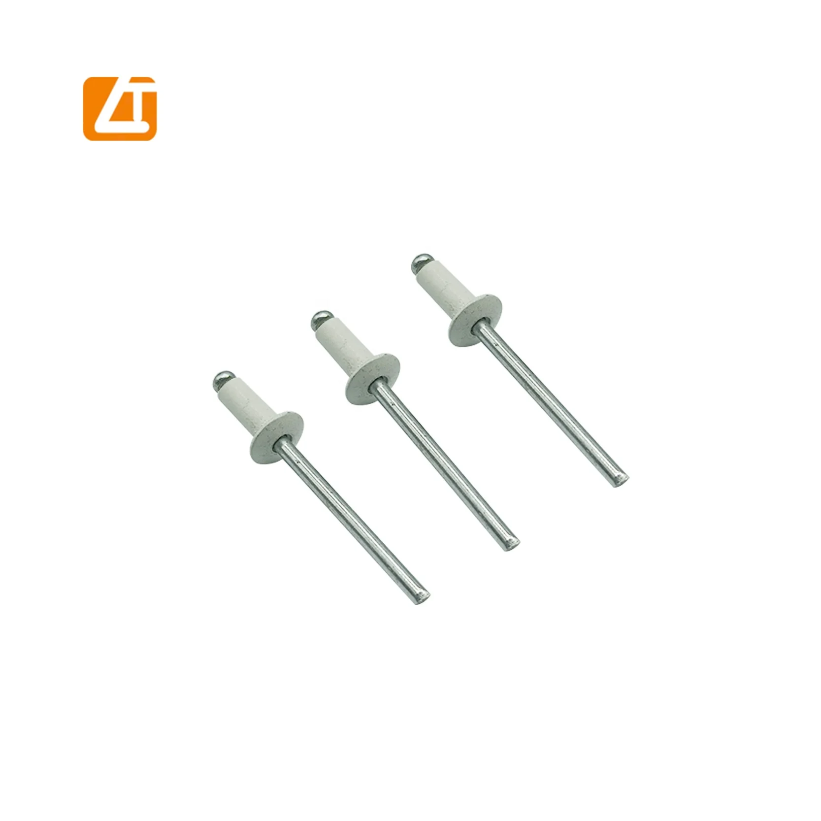 Aluminum Steel RAL Color Blind Rivet - OEM Supply China