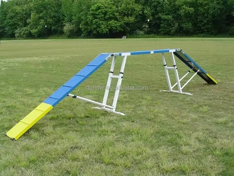 Agility Dogwalk - Training Essentials for Canine Athletes