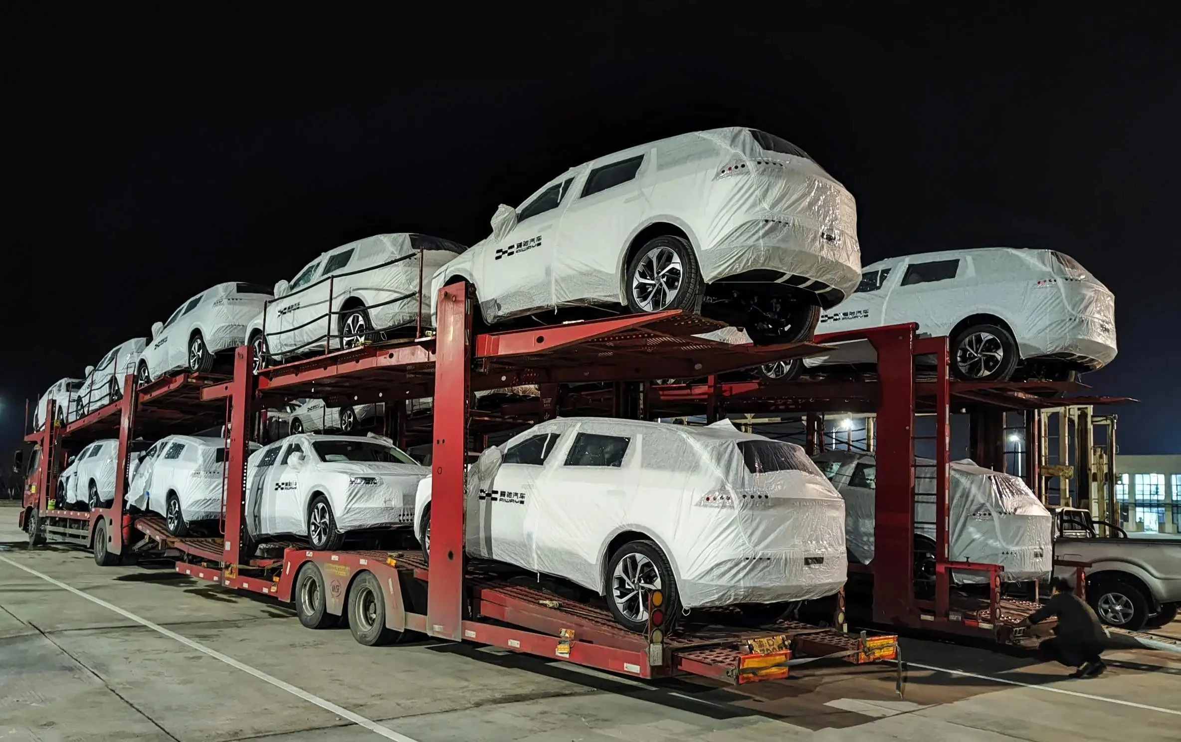 Byd Sea Series Byd Seagull Dolphin Song Plus Seal Champion E2 Ev New ...