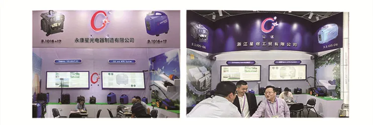 PSE 1000W Portable Gasoline Generator - Dual Fuel Powered