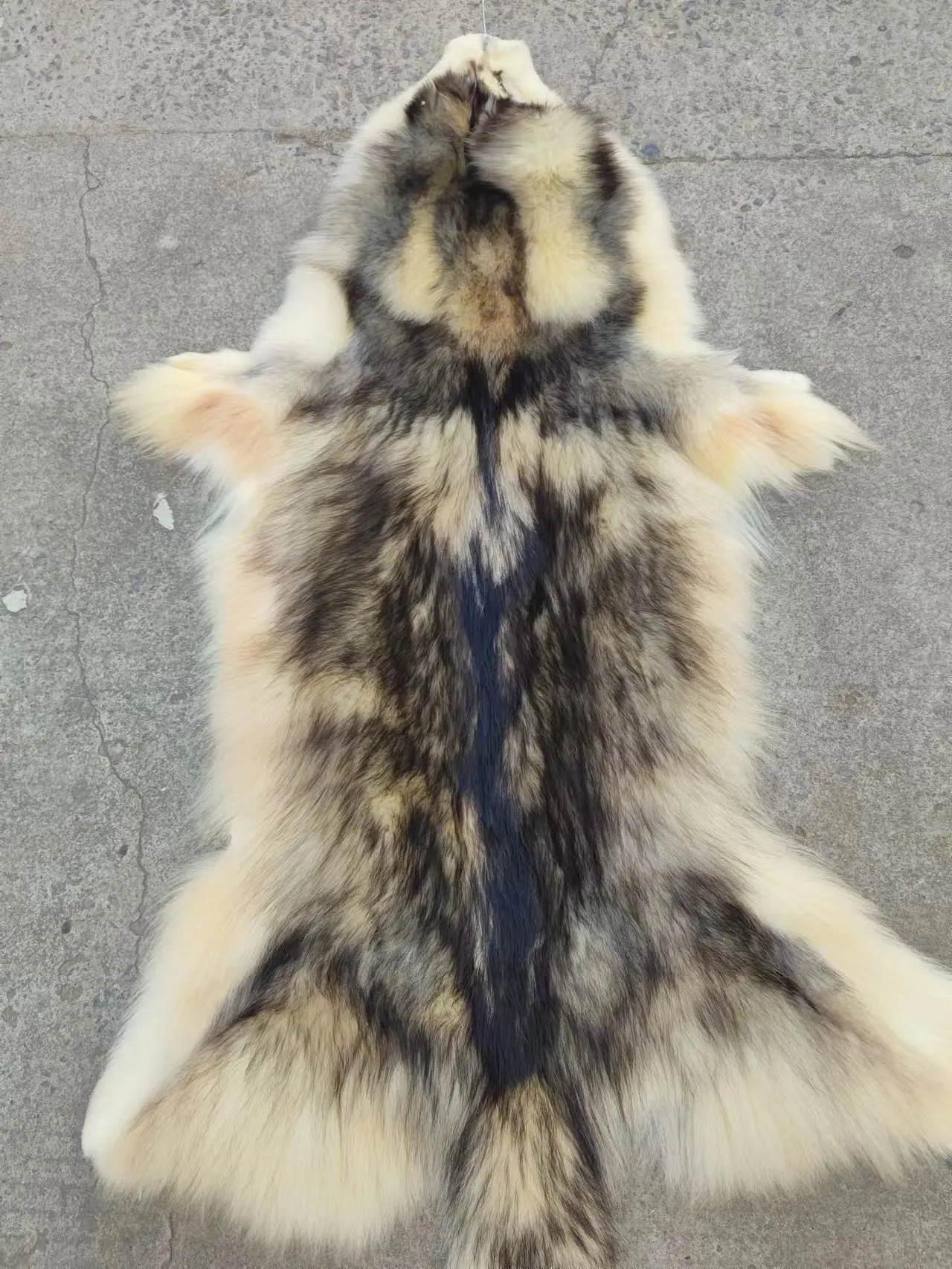 Chinese Natural Whole Tanned Dog Fur Skin Pelt For Fly Tying - Buy Dog ...