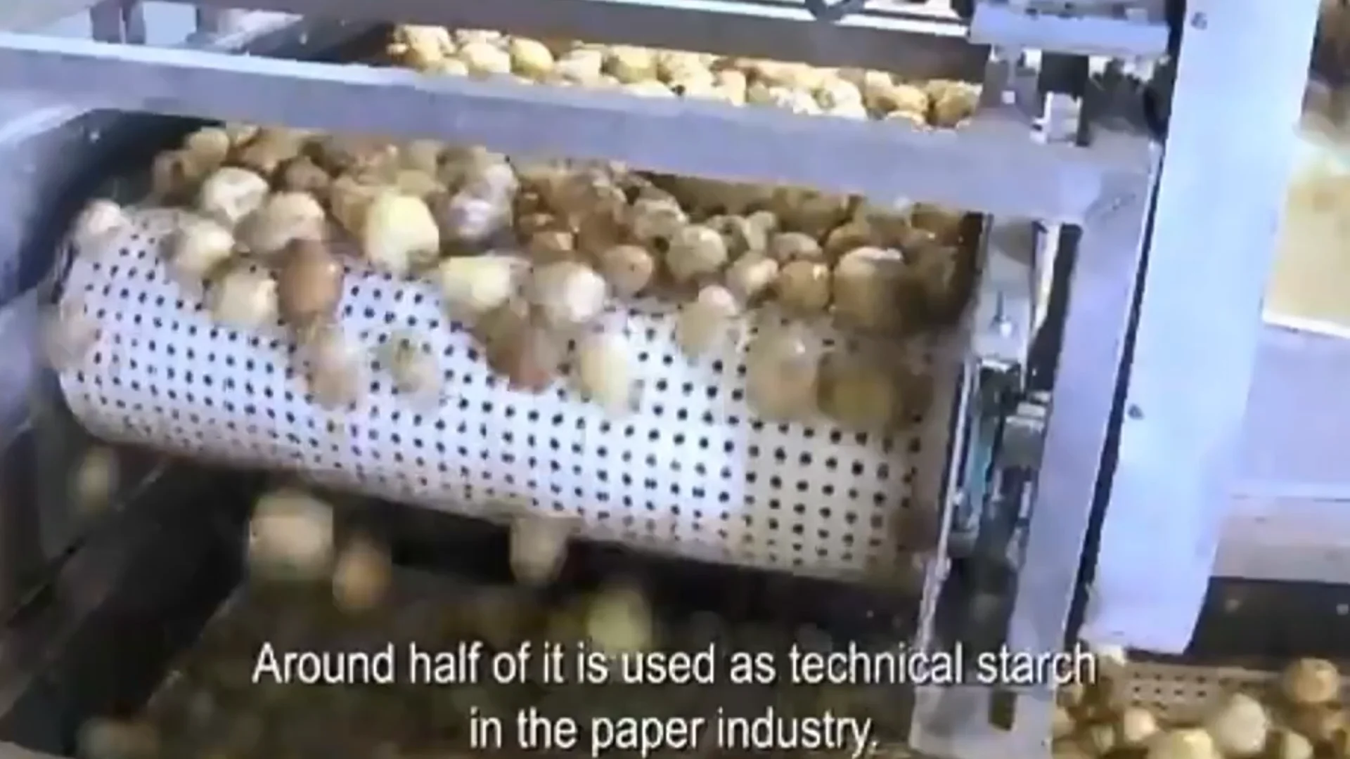 Xdx Potato Onion Fruit Garlic Cocoa Banana Turmeric Powder Making ...