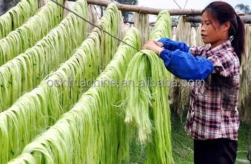 Hemp Sisal Fiber Extraction - Efficient Decorticator Machine
