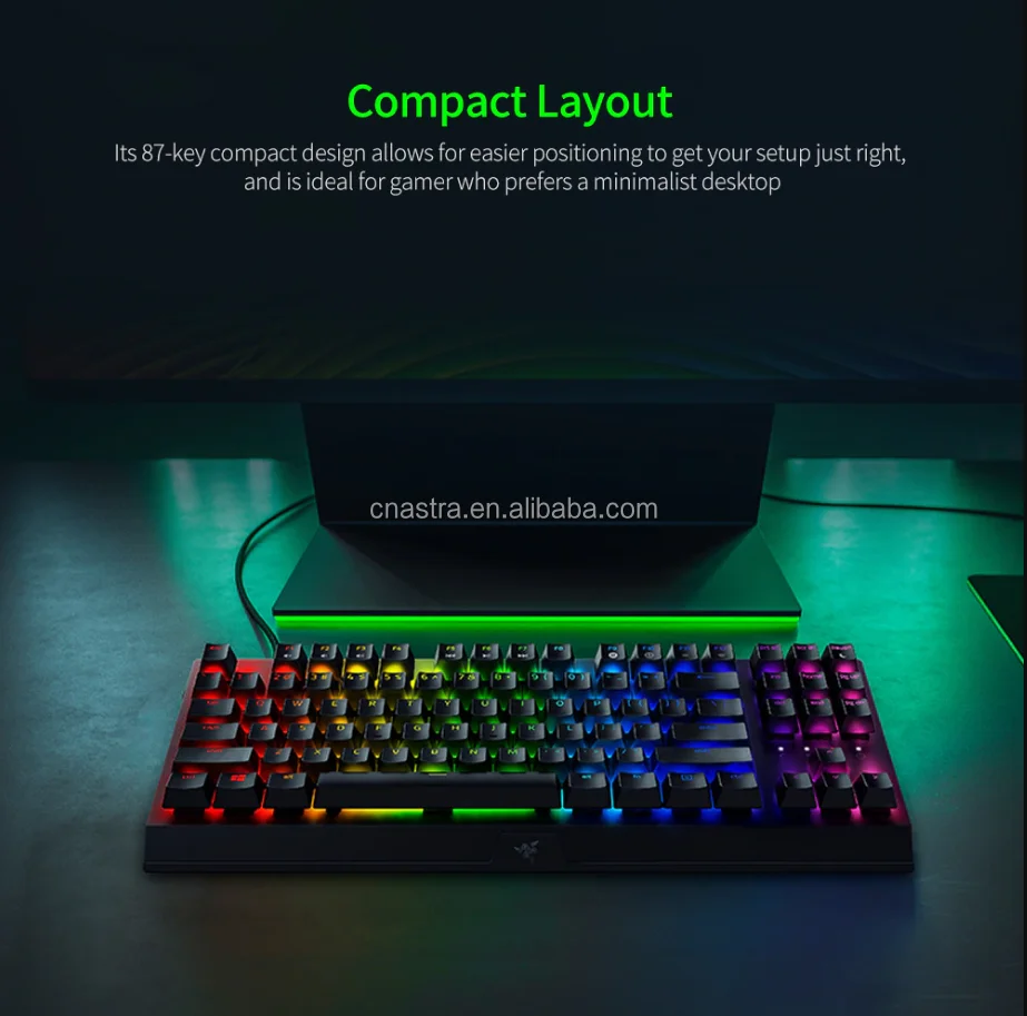 Razer BlackWidow Spider V3 TKL 87 Keys Wired Gaming Keyboard - RGB ...