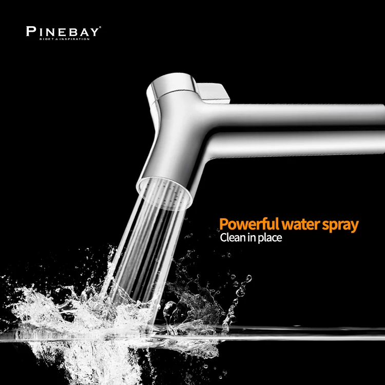 Pinebay New Style Toilet Bidets Kit Self Clean Abs Plastic Chrome ...