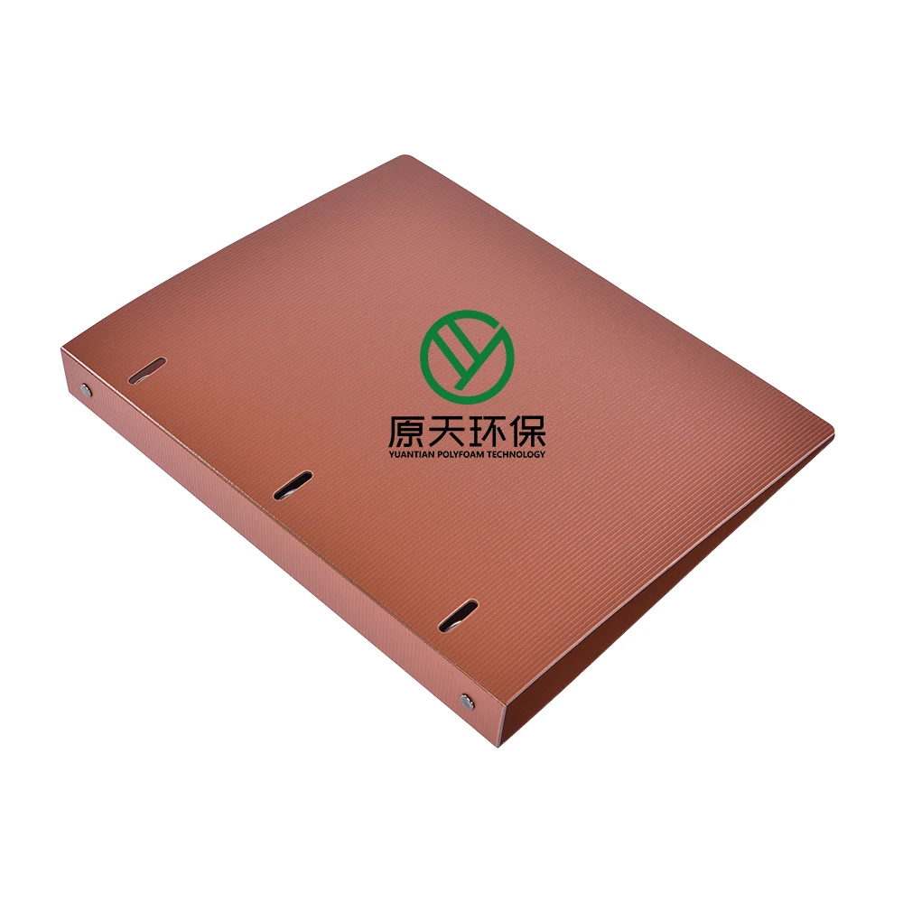 Wholesale Office Colorful A4 Size Loose Leaf File Folder Pp Foam Board ...