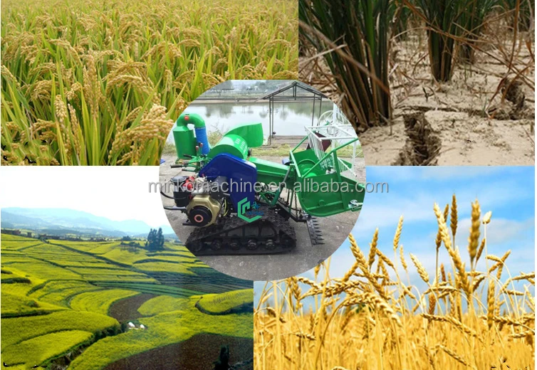 Rice Reaper Harvester Philippines - Mini Combine Wheat Cutter