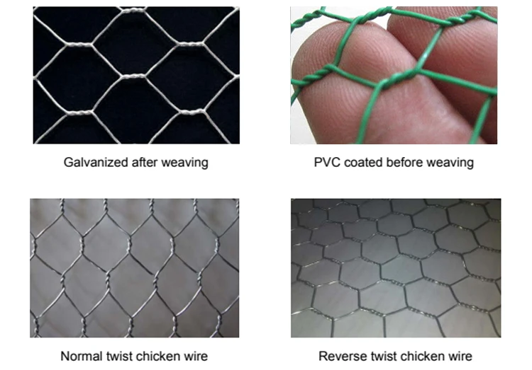 Galvanized Double Twisted Hexagonal Wire Mesh Fence