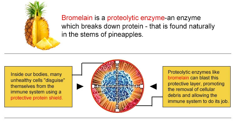 Ahualyn High Activity Pineapple Extract - Bromelain Enzyme