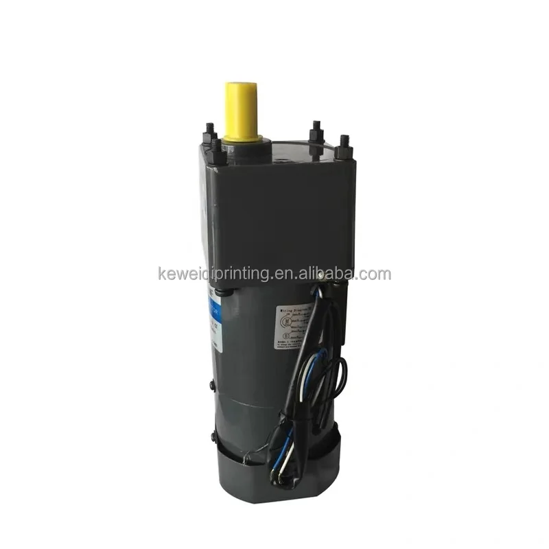 ZD 60W Speed Control Motor with Gear Head for Industries