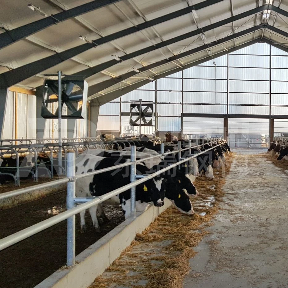Livestock Shed Plans - Durable Steel Structures for Farming