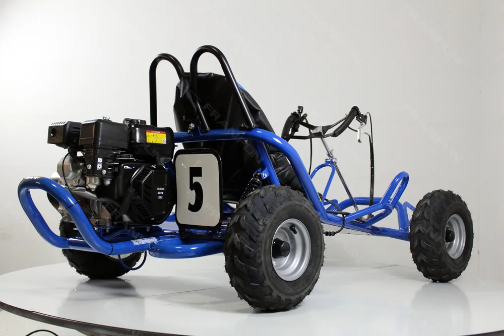 Outdoor Racing Air-Cooled 4 Stroke Buggy 196CC Petrol Go-kart