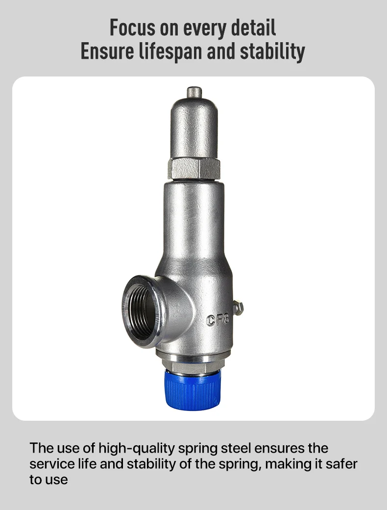 DN25 Stainless Steel Safety Relief Valves for Oil & Chemicals