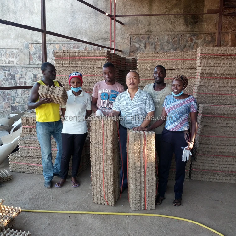 Pulp Waste Paper Egg Carton Making Machine - Efficient & Durable