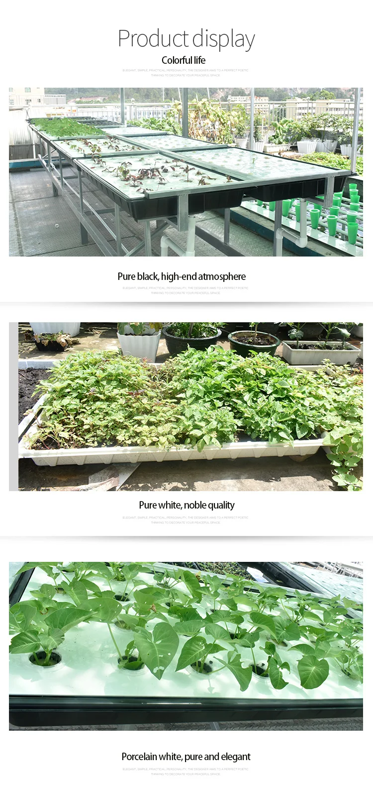 Aeroponic Vertical Farming Vertical Harvest Hydroponics 4x8 Flood Tray ...