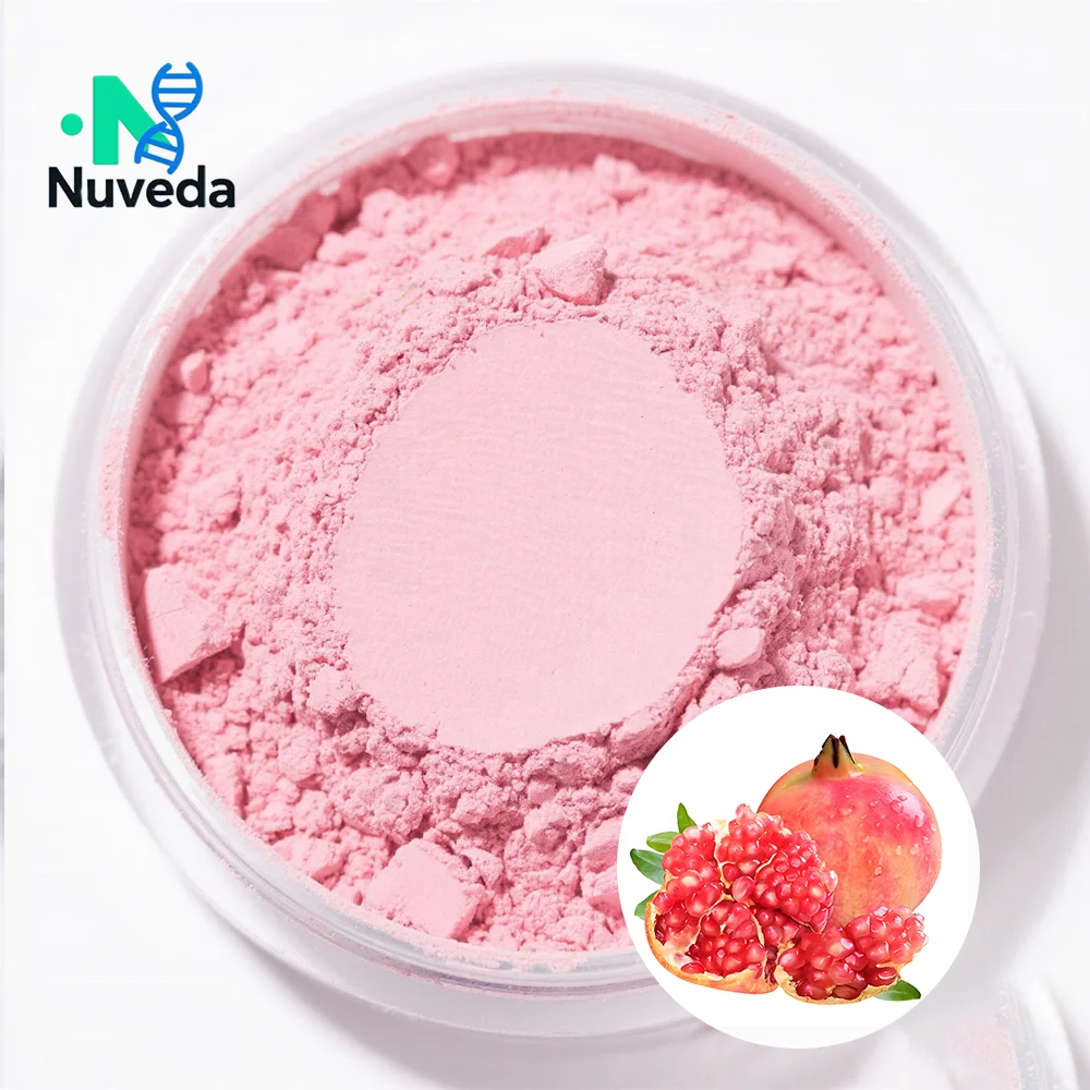 100% Pure Organic Pomegranate Juice Powder Water Soluble Pomegranate ...