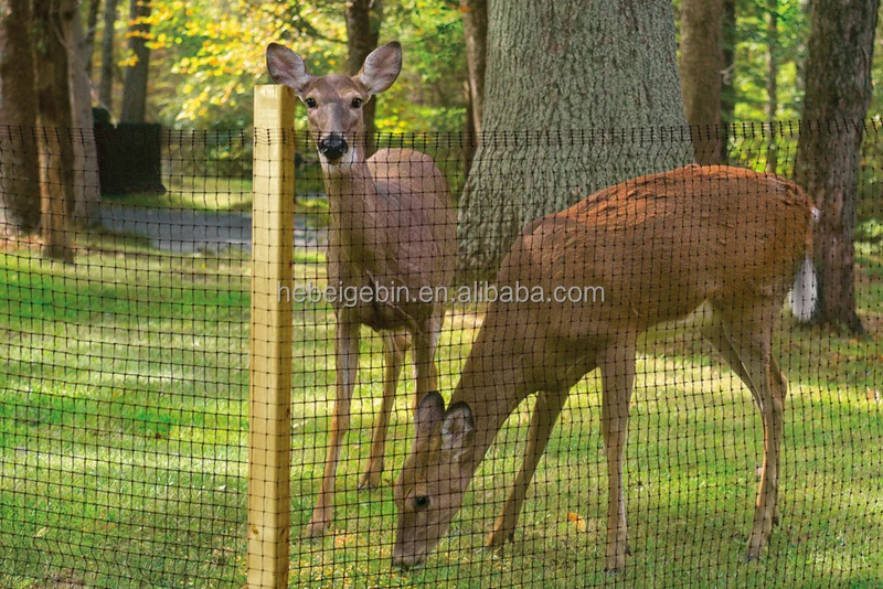 Poly Deer Fence - Durable, Eco-Friendly, and Easy to Install