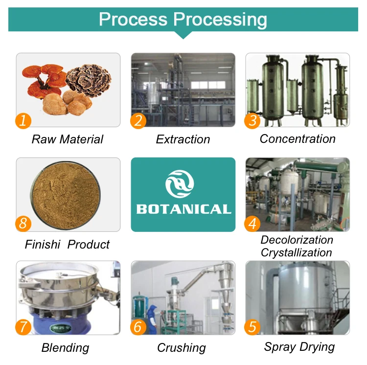 B.C.I Supply Wholesale Organic Fruit Powder Food Grade 100% Natural ...