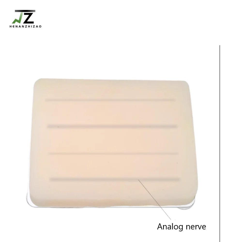 Medical Science Nerve Block Puncture Training Model For Teaching ...