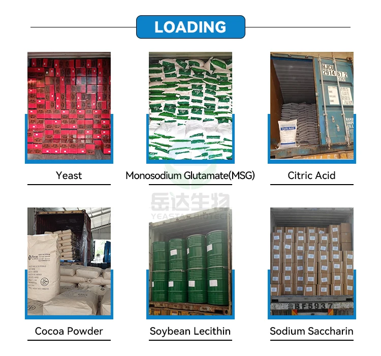 500g Alcohol Active Dry Yeast for Wine - Instant Dry Yeast