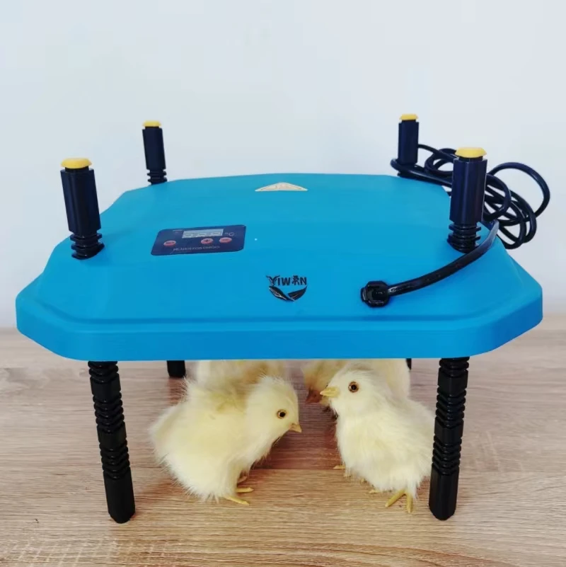 Chick Heating Plate Adjustable Height Brooder Plate Heater For Chicken ...